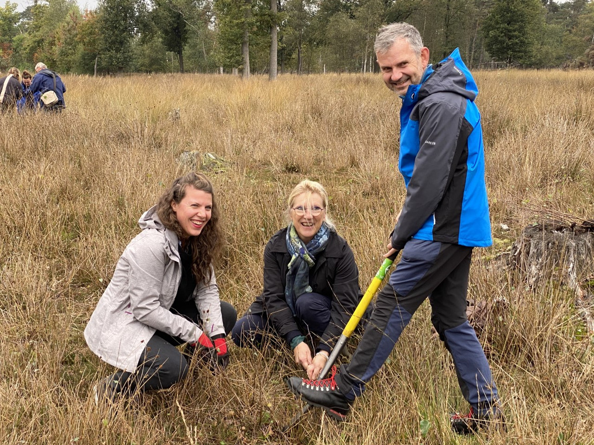 Natuurpunt herstelt Turnhouts Vennengebied tot moeras: “Minder ...