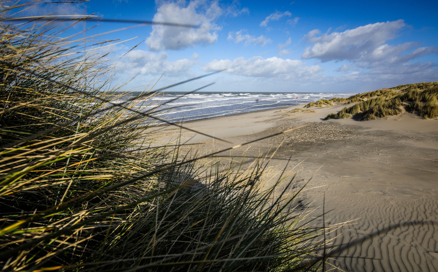 Op wandel om af te koelen tijdens deze hittegolf: dit zijn onze ...