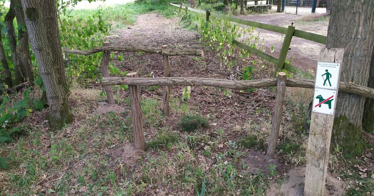Wandelpad tussen Hagelweg en Het Steen opnieuw toegankelijk | Meerhout ...