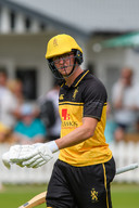 Cricketer Tim Pringle voelt zich steeds meer Nederlander: ‘Dat merk ik ...