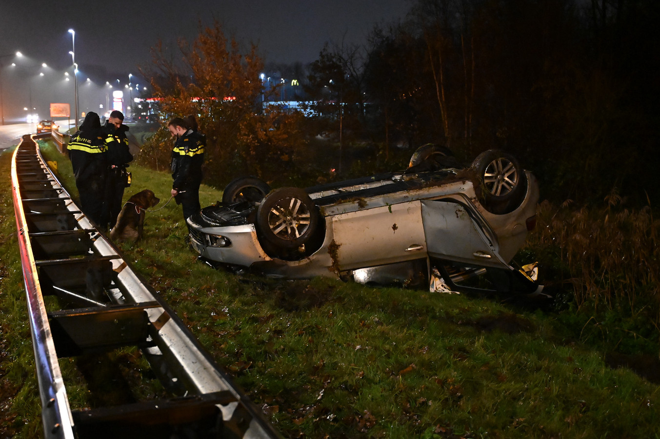 Automobilist onder invloed slaat over de kop in Breda, met zijn hond in de auto | Foto | bndestem.nl