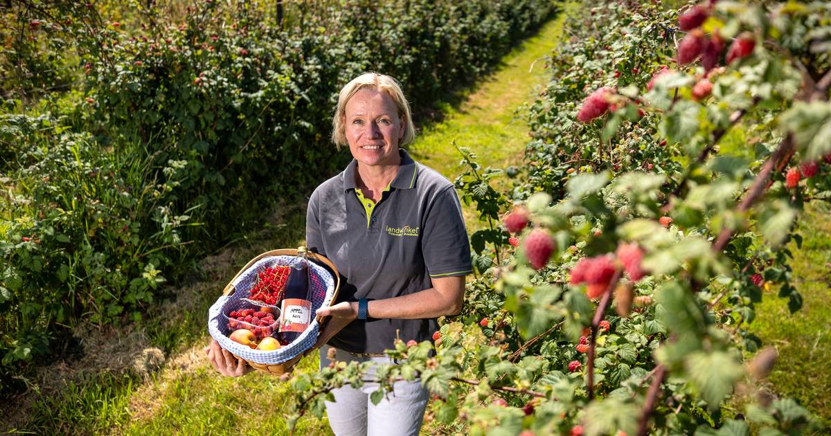 Oldenzaal weet het zeker: eten uit de regio smaakt naar meer: ‘Eind ...