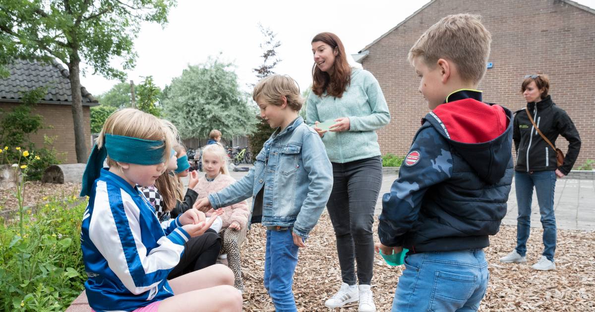 Tijd om te proeven van het voedselbos op het schoolplein: ‘Dit was ...