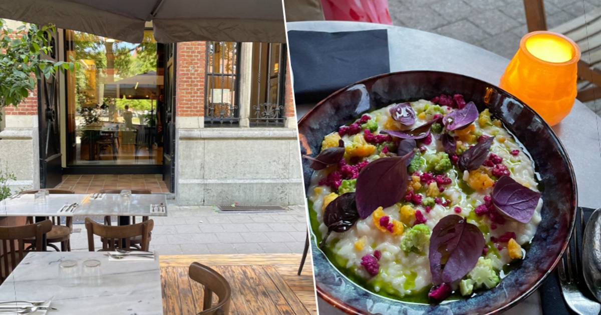 BUDGETTIP. 6 keer eten onder 50 euro in Antwerpen: van de klassieke Belgisch-Franse keuken met ...