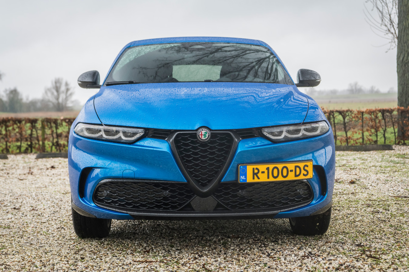 Test Alfa Romeo Tonale: eindelijk weer een teken van leven | Foto | AD.nl