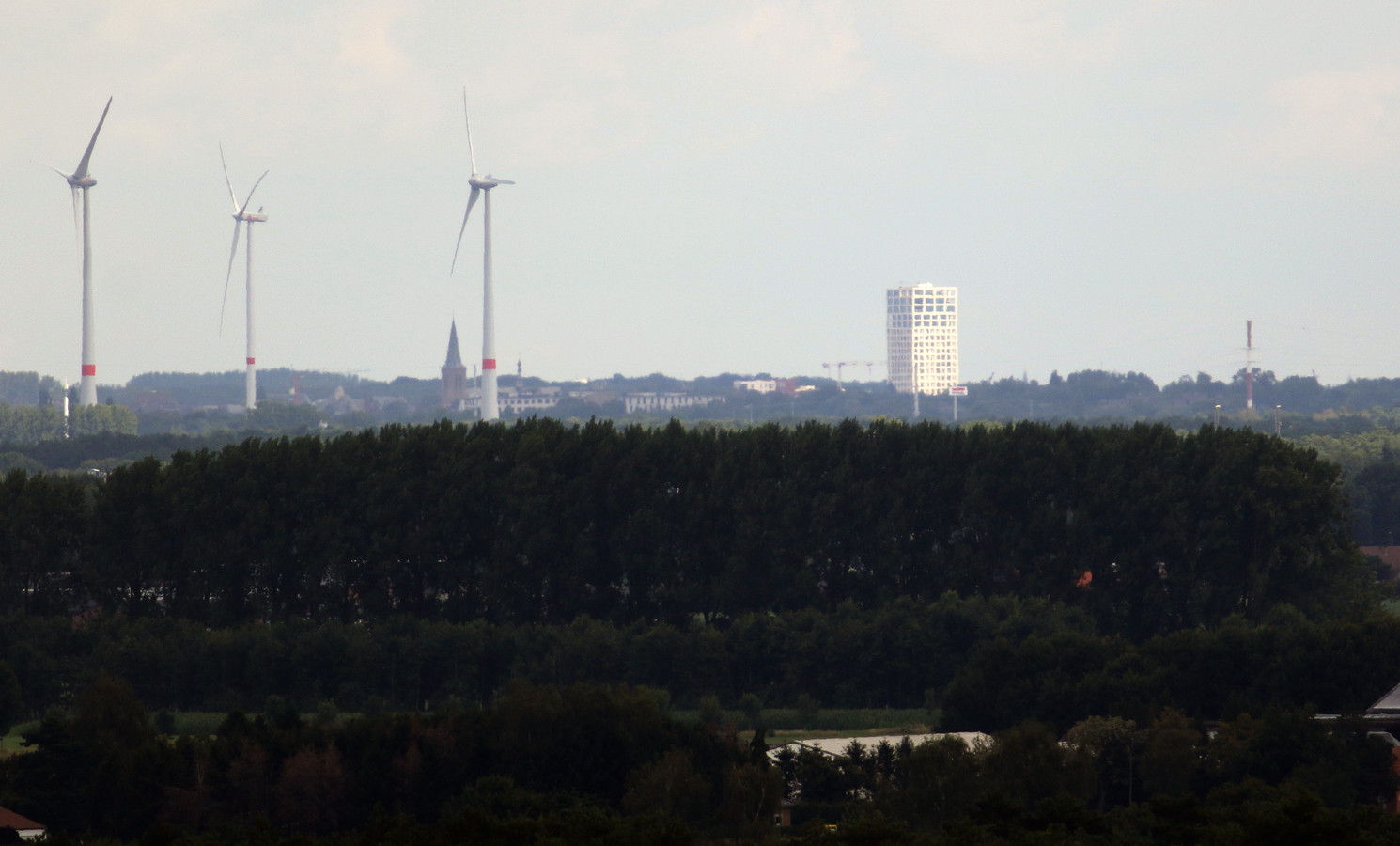 Op dagtrip naar de Zuiderkempen: struin door de landduinen, geniet van ...