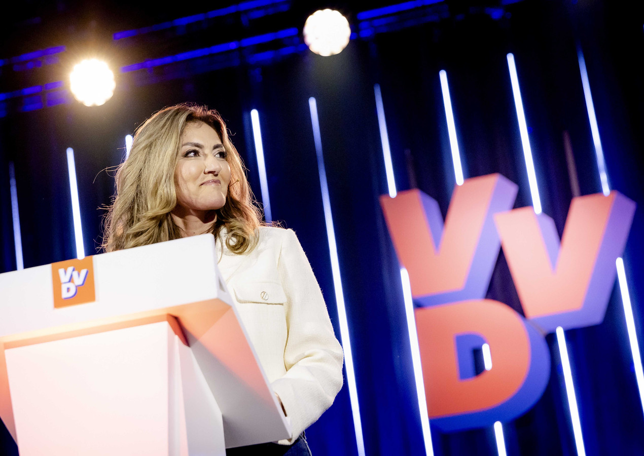 Nederlandse VVD ziet “goede kans” op stabiele samenwerking met PVV, NSC ...