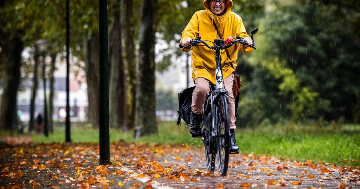 Code geel met zware windstoten en onweersbuien: onstuimig weer trekt ...