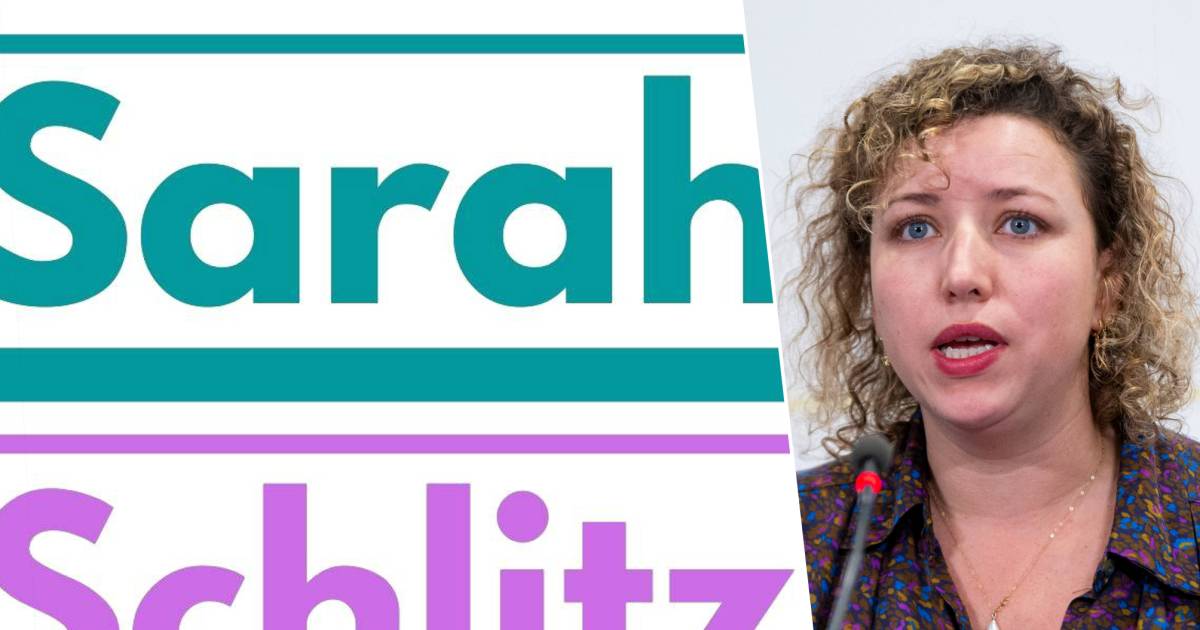La secrétaire d'État Sarah Schlitz a-t-elle menti au Parlement? La ...