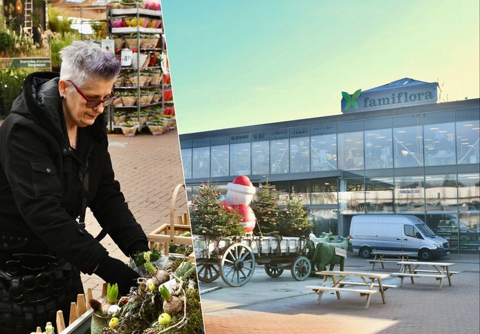 Tuincentrum Famiflora week na politie-inval weer open: “Dit heeft ons ...