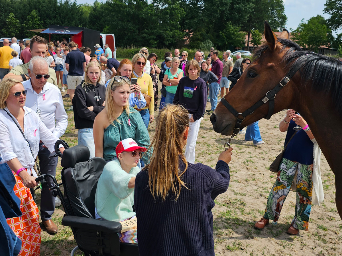KIJK. Ernstig zieke Axelle (15) beleeft de dag van haar leven: “Paarden ...