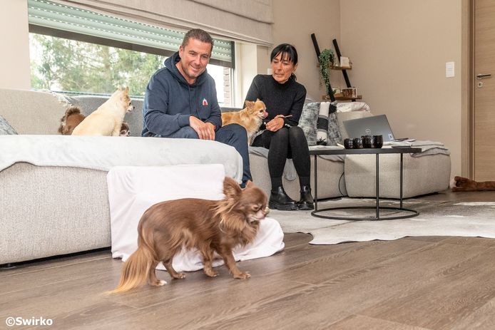 Mike (52) en Hilde (50) krijgen drie jaar vliegverbod van TUI: “Ons ...