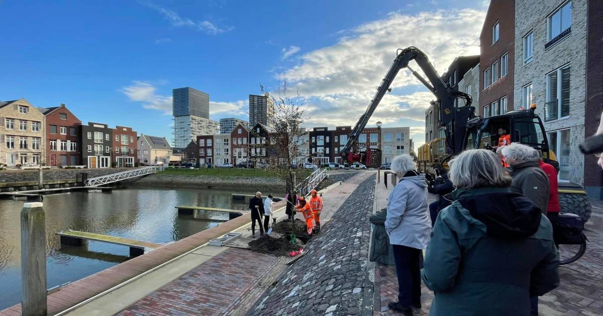 Partij valt over bouw van vele dure huizen: ‘Hoeveel Nissewaarders ...