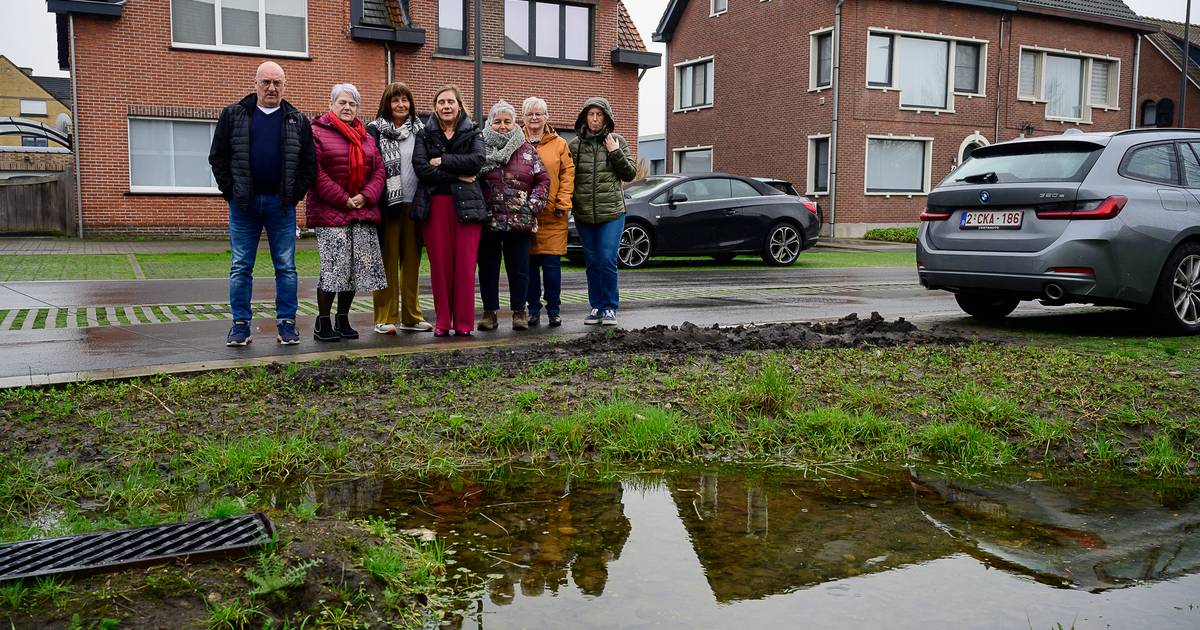 Bewoners vernieuwde Ternesselei en Dasstraat klagen over water in ...