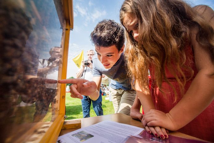 Op zoek naar een uitje in de regio? Check onze tips! Met deze week: van ...