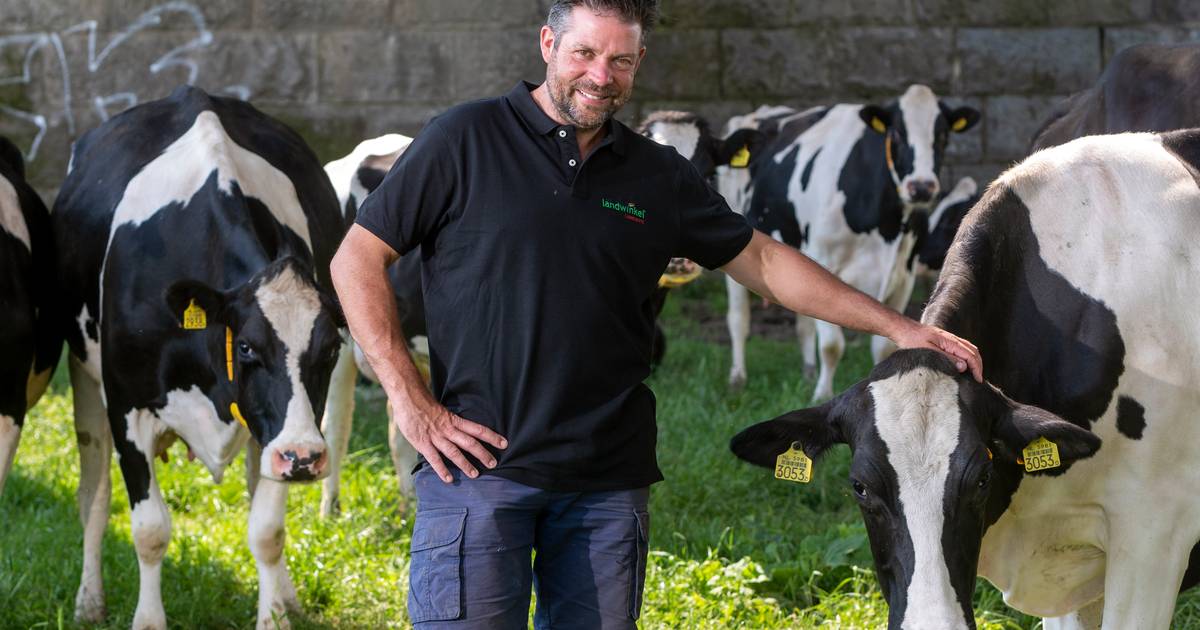 Arnhemse boer Bart Lubbers: ‘Ik kan mijn koeien zelfs hóren grazen ...