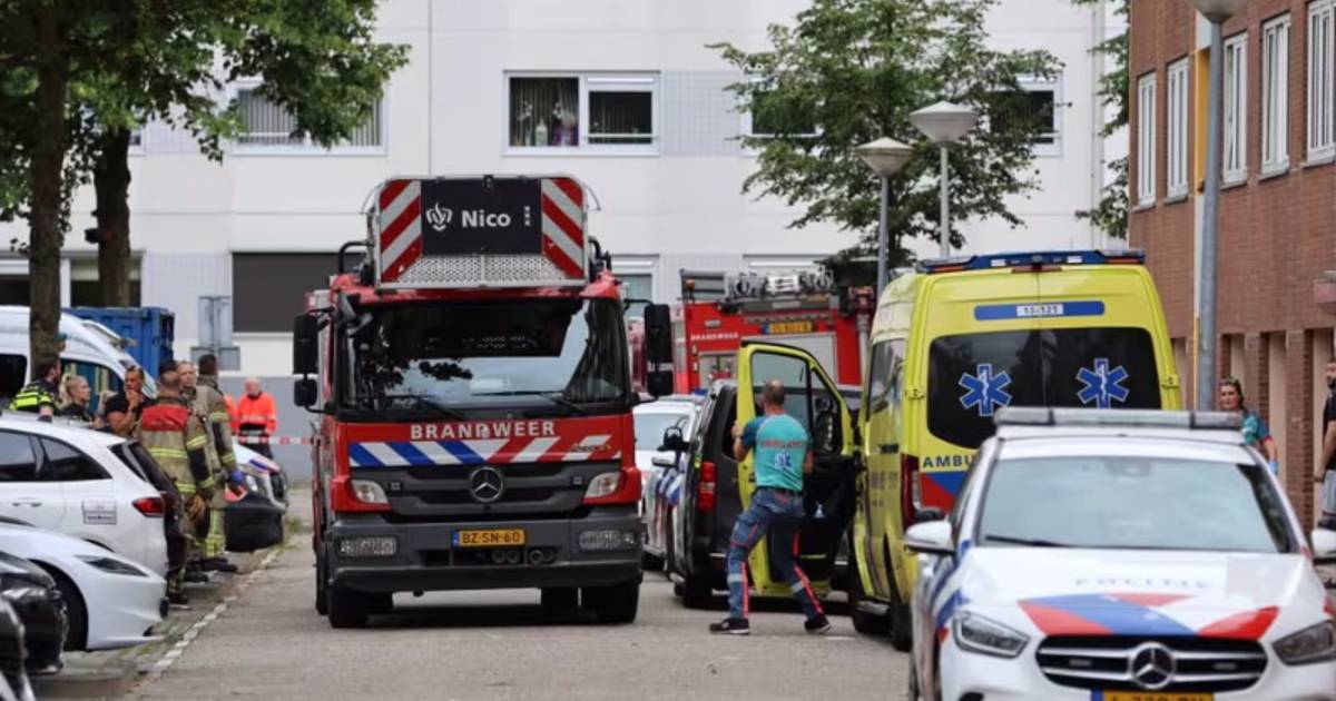 Vrouw omgekomen bij steekincident in trappenhuis Amsterdam-Noord ...
