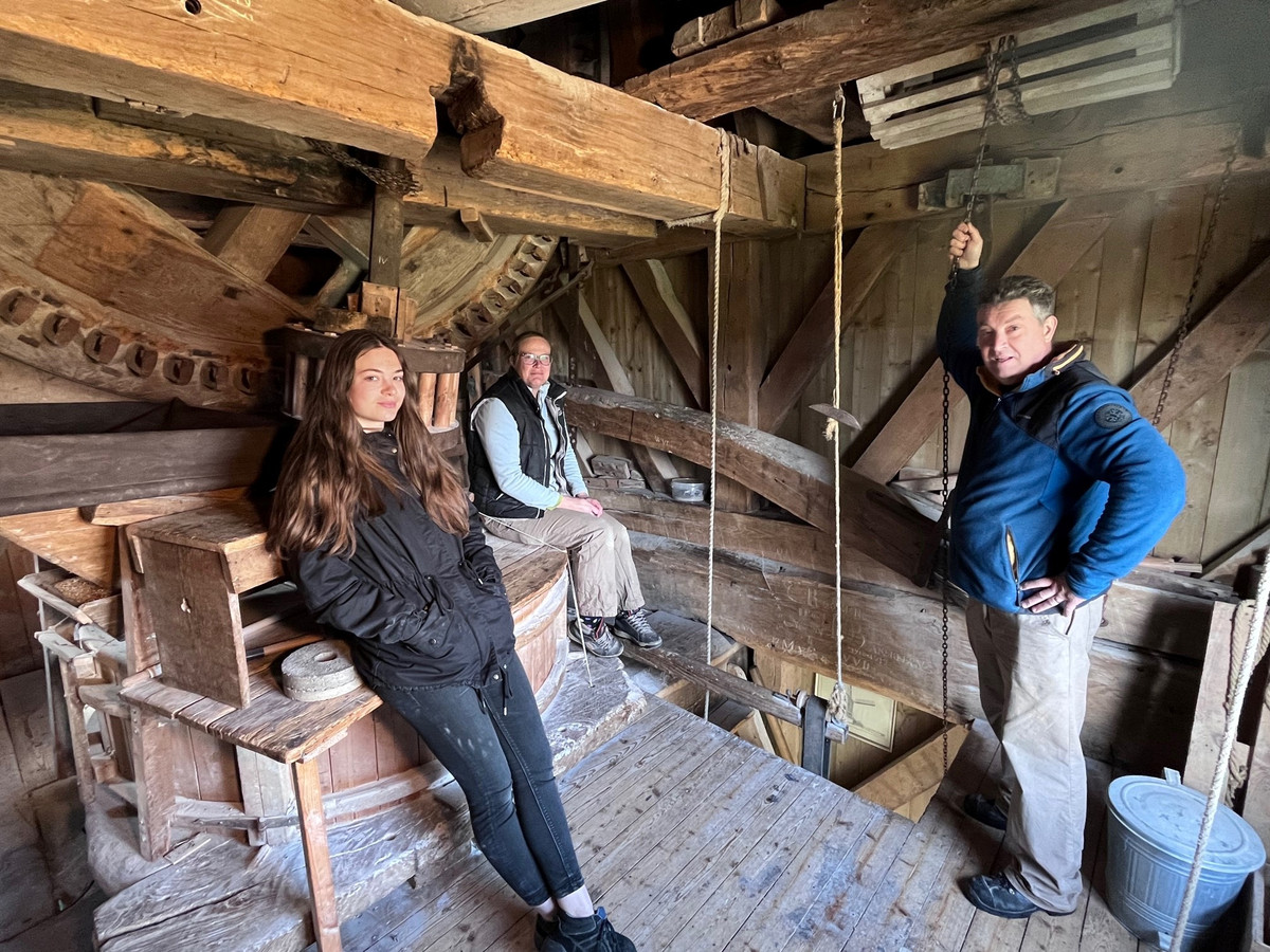 ‘Toekomst ambacht van molenaar hier verzekerd’ | Foto | bd.nl