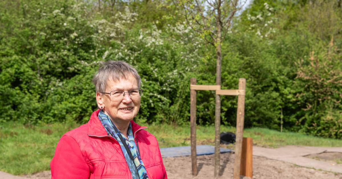 Roelie (78) is de moeder van de burgerparticipatie: ‘Groen was ooit ...