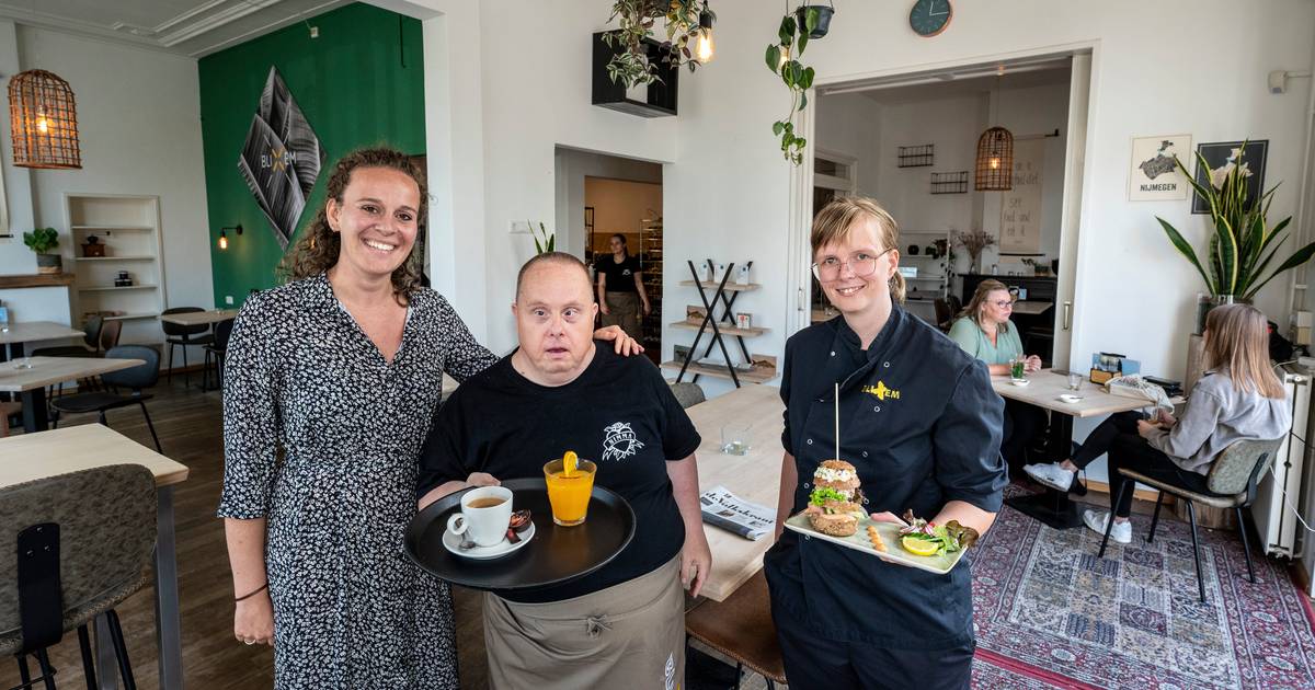 BliXem is een trendsetter: een beperking is er al 25 jaar de normaalste ...