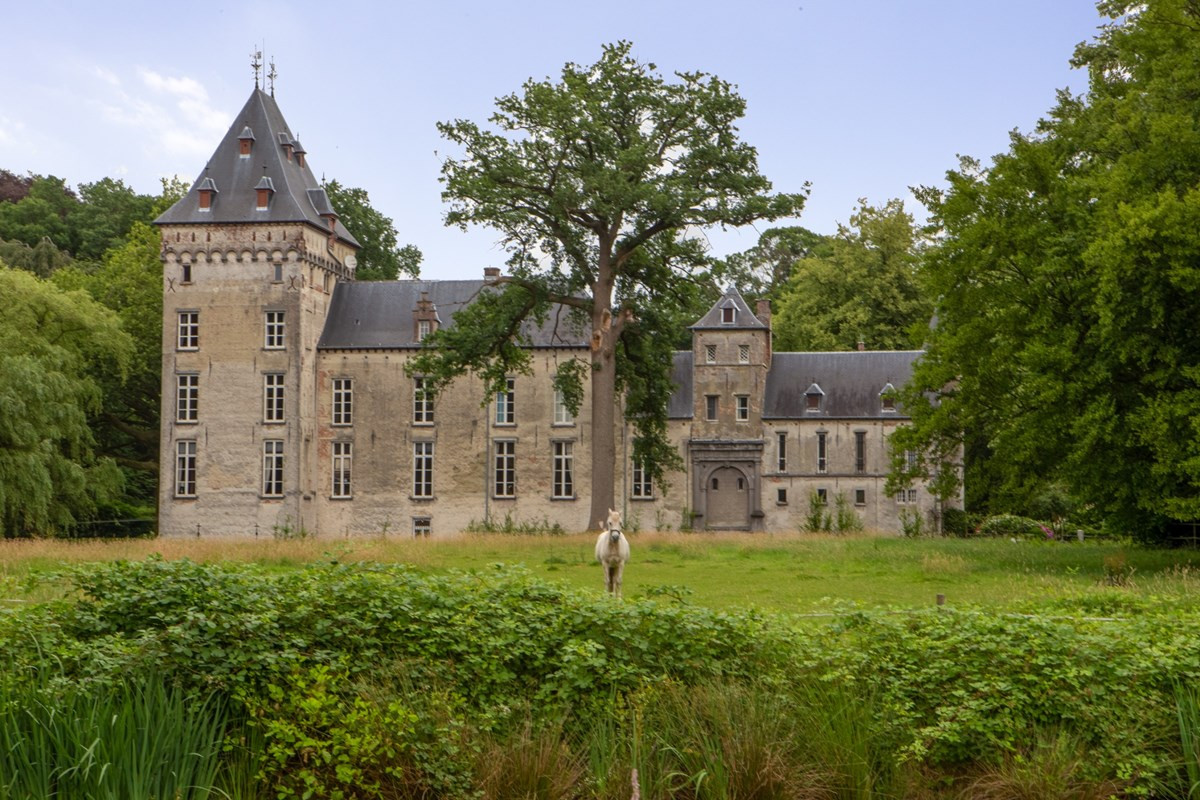 Gemeente Malle gaat kasteel van Westmalle kopen: “We kunnen poorten ...