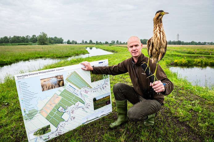 Groene Hart is een nieuw natuurgebied rijker: in deze wetlands leven ...