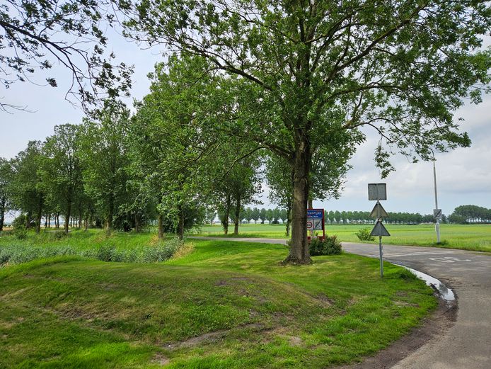 Dit is het mooiste stukje Zeeland, waar de bomen als hoge pluimen aan de einder staan | Damme ...