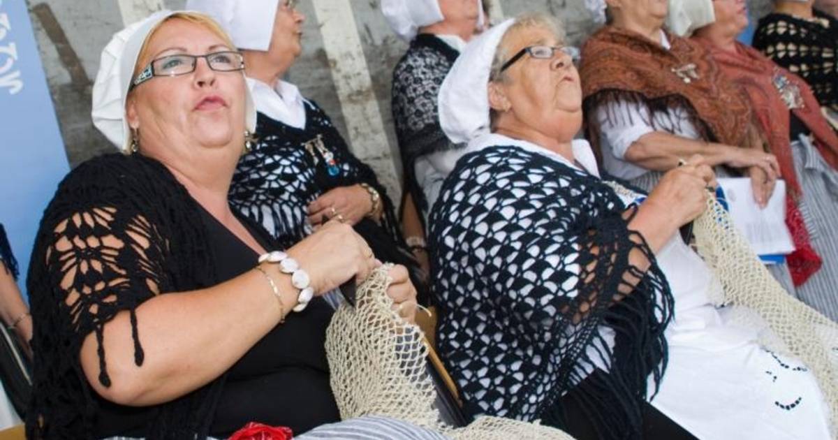 'Mosselrock in Yerseke hoort tijdens Mosseldag' | Bevelanden | pzc.nl