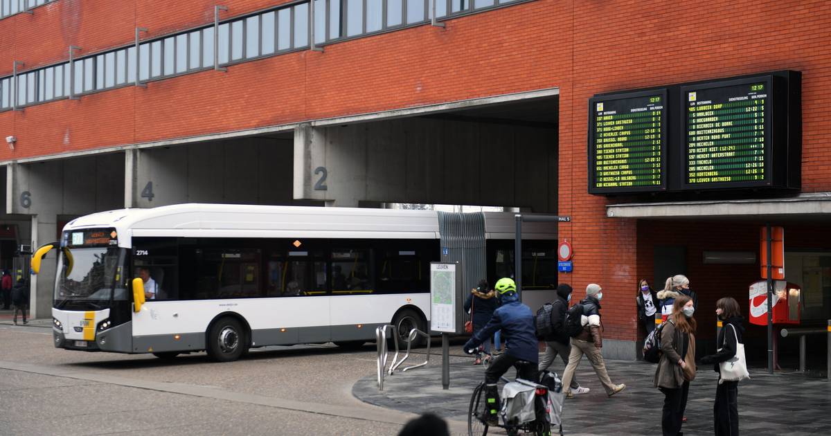 Hinder voor bussen woensdag door staking bij De Lijn: “Aangepaste ...
