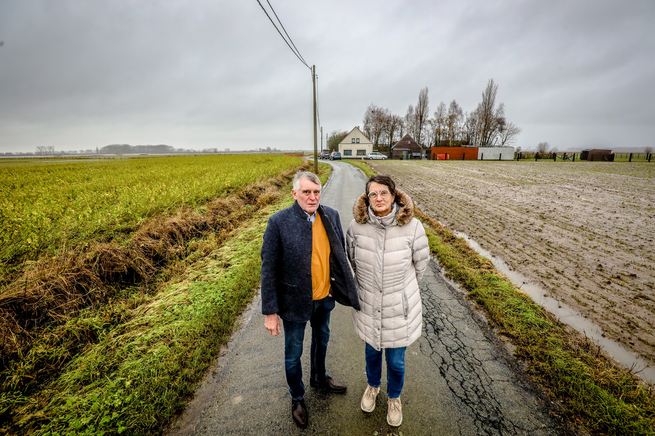 Terug naar de Westhoek, een dikke maand na de waterellende: “Welgeteld ...