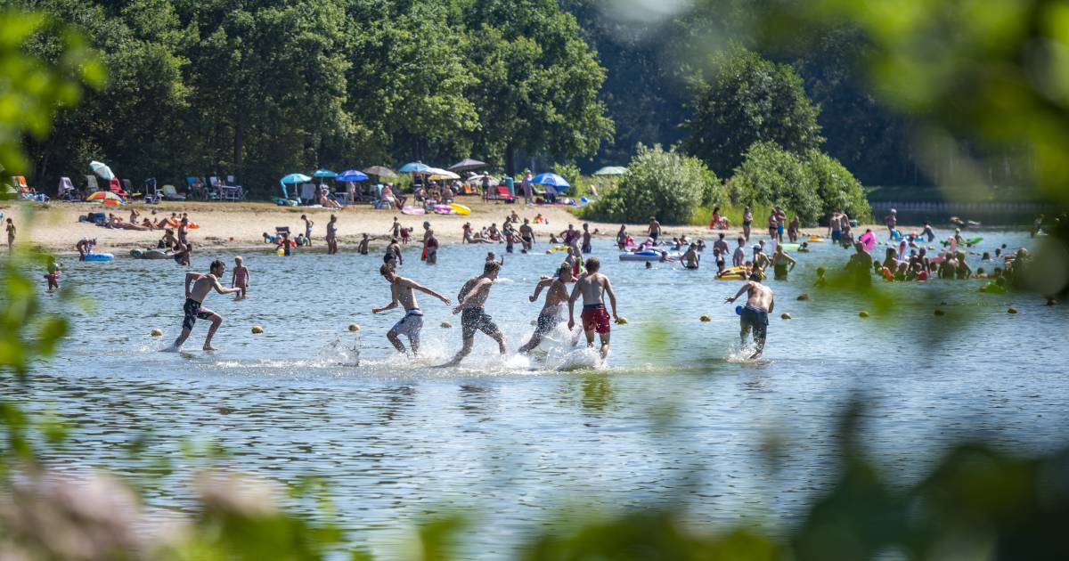 Meldingen van zwemmersjeuk bij Kinderstrand recreatieplas Bussloo ...