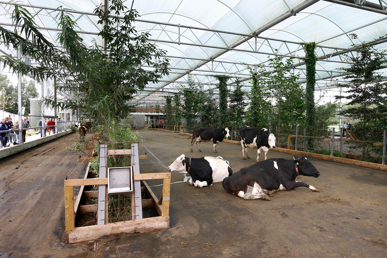 Complimenten van de koning voor inzet armoedebestrijding in Groenlo ...