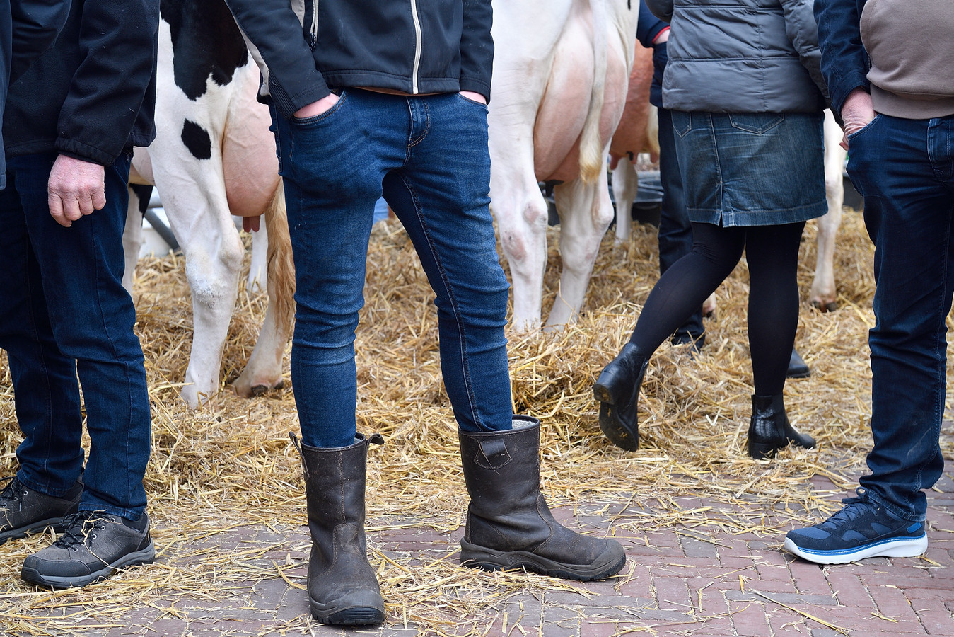 Koeien keuren, schapen scheren en ‘af en toe’ een biertje: zo ziet ...