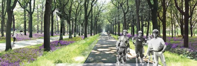 Groene Corridor tussen Eindhoven en Oirschot komt er | Eindhoven | ed.nl