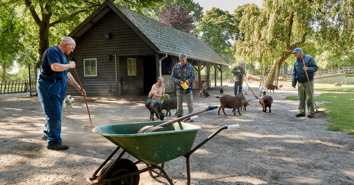 Dagbesteding ggz-cliënten overgeheveld naar gemeenten: ‘Wij overzien de ...