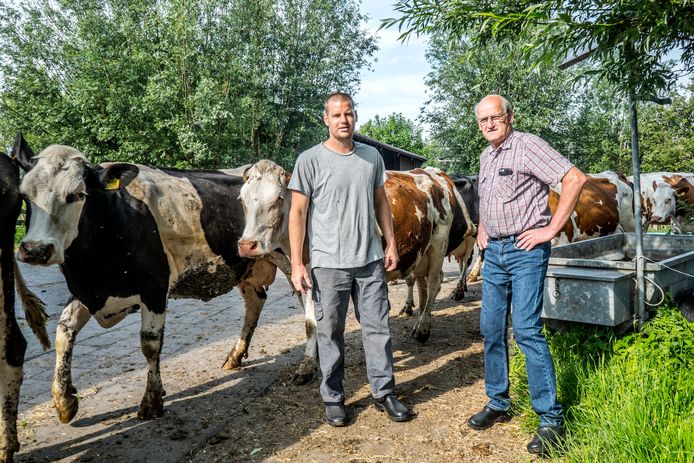 Politicoloog neemt Hoeve Ackerdijk over: ‘Veel mensen dromen ervan’ | Delft | AD.nl