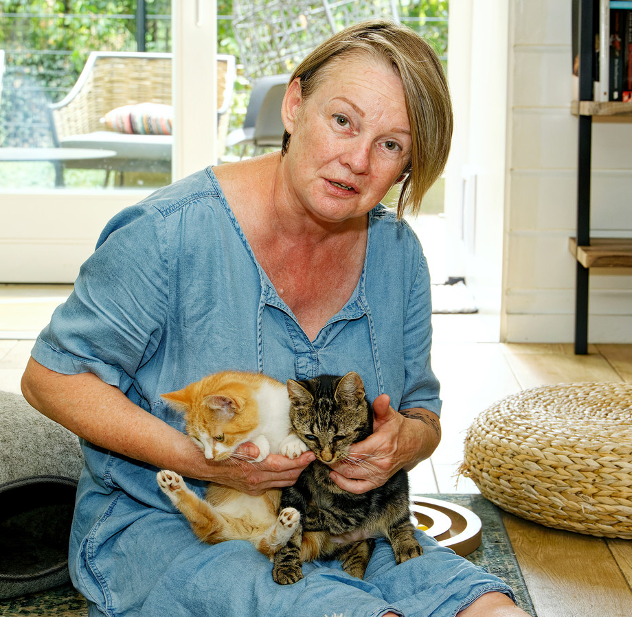 Arianne geeft 23 gehandicap­te katten een warm thuis: ‘Alleen een ...