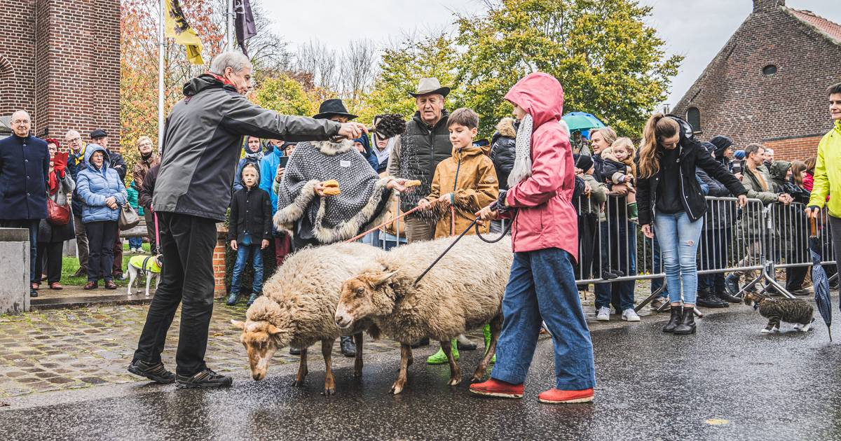 IN BEELD: Mendonk houdt de traditie hoog met jaarlijkse dierenwijding ...