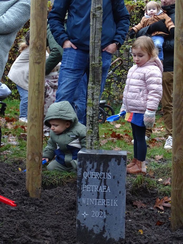 Geboorteboom geplant voor alle kindjes van 2021 | Vosselaar | hln.be