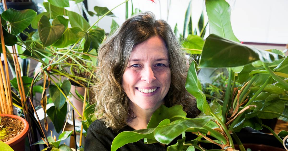 Van plantje uit prullenbak in de buurt naar een jungle in huis: Margot ...