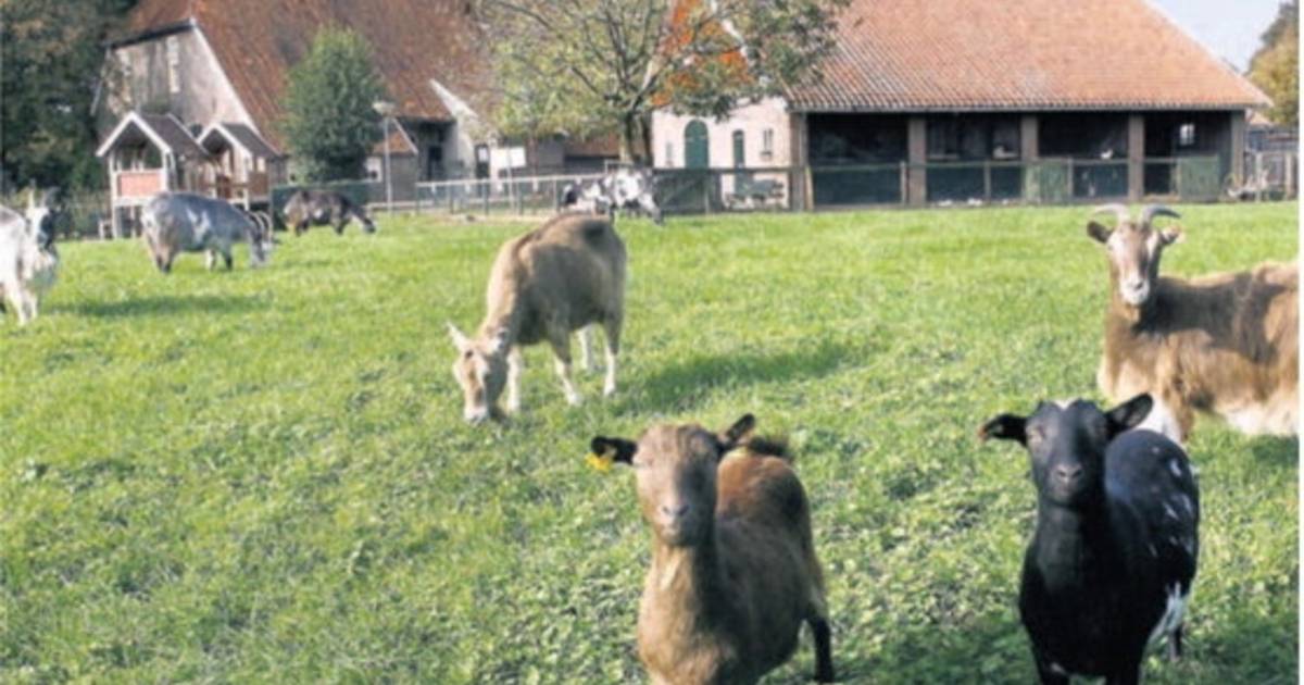 KLPD graaft op terrein kinderboerderij Aalten | Achterhoek ...
