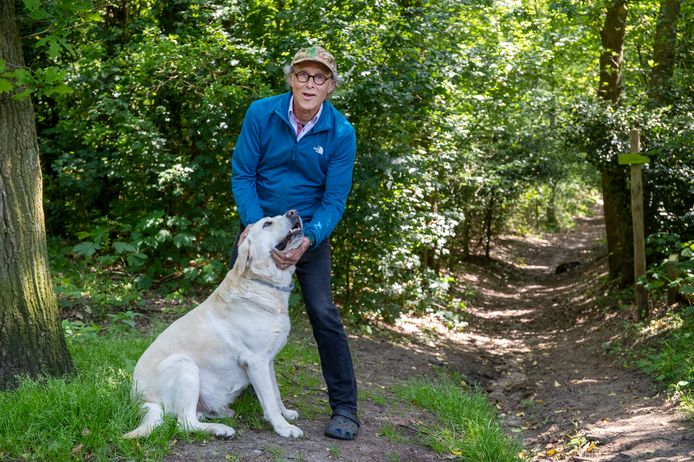 Jonge wolf gespot in Amerongen: ‘Hij liep naast me op 10 meter afstand’ | Utrechtse Heuvelrug ...