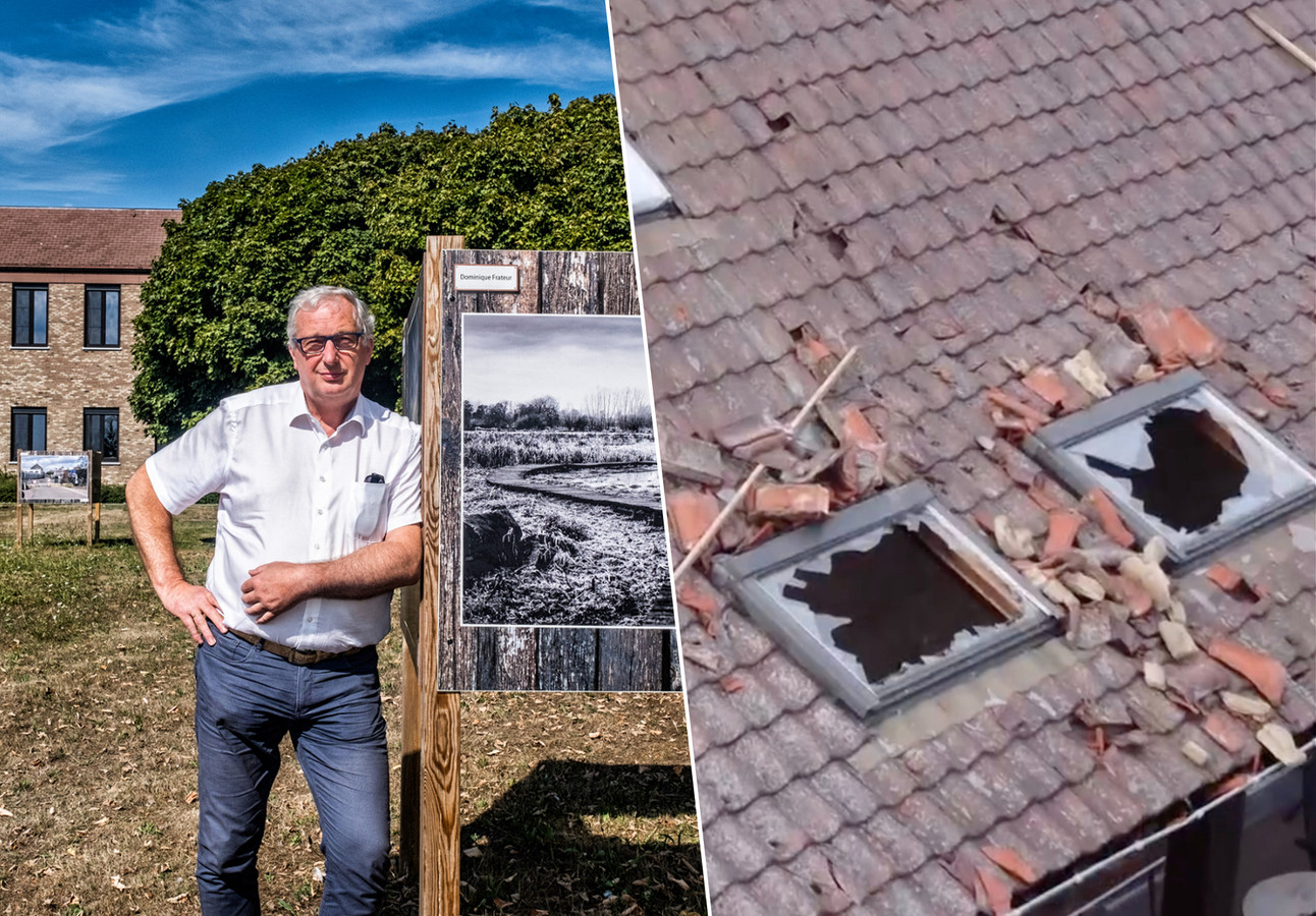 Meer dan 900.000 keer bedankt! Deze verhalen uit Kinrooi raakten jullie ...