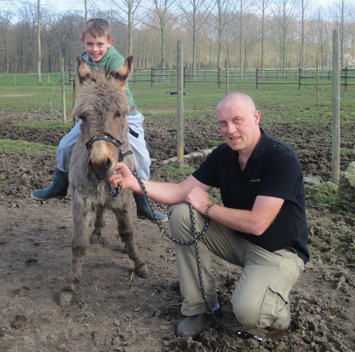 "Wandelen met ezel is verrijkend" | Zoutleeuw | hln.be