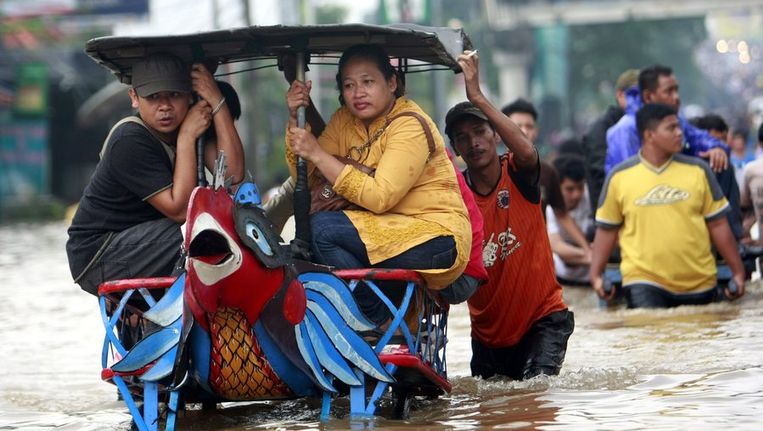 Pulpproducent APP stopt ontbossing Indonesië | De Volkskrant