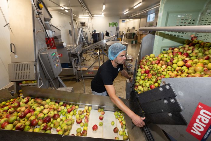 Sap van eigen appels? Fruitbedrijf PIPO perst oogst van klanten ...