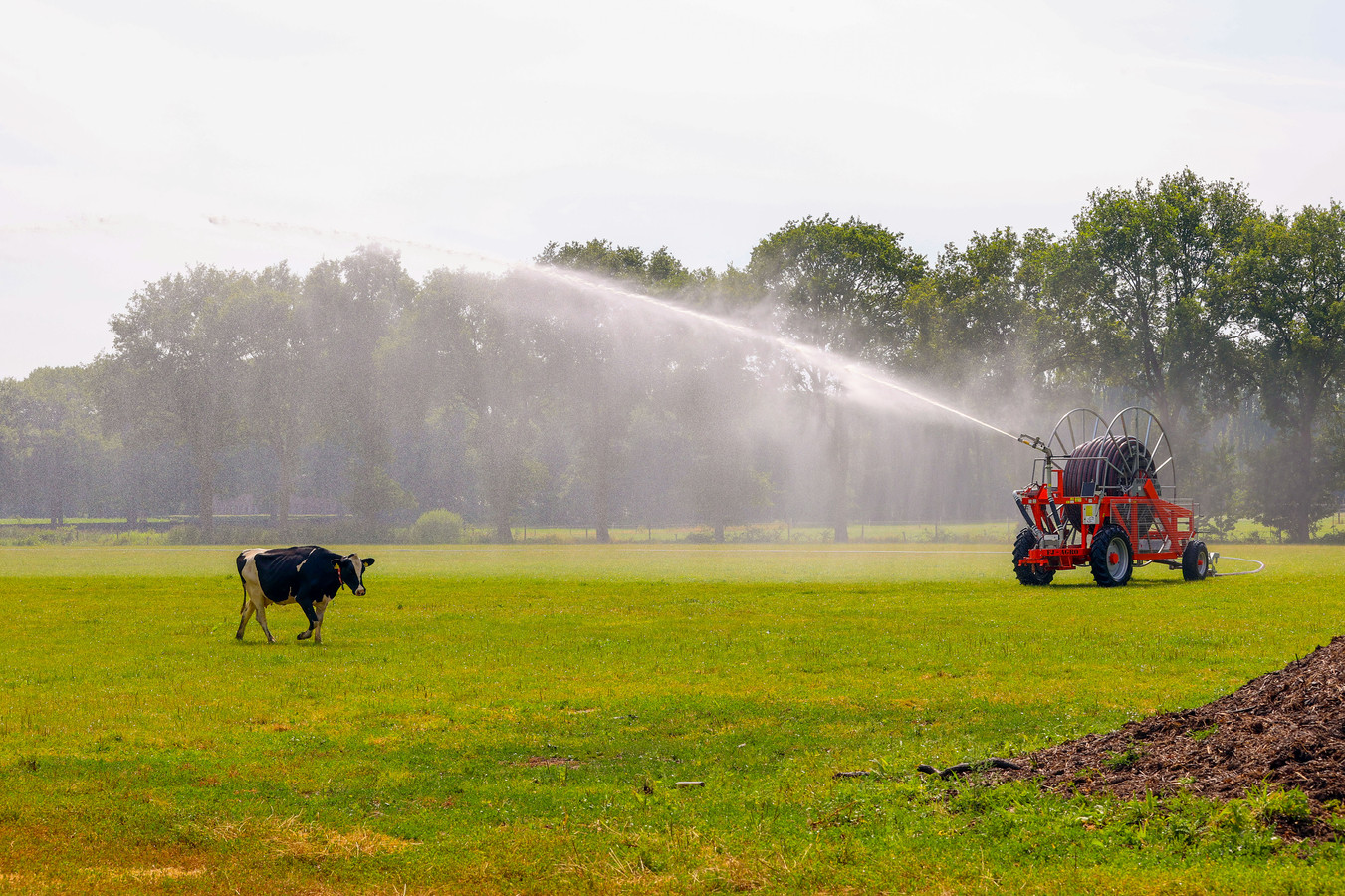 Sproeien met slootwater is vanaf nu verboden in groot deel van Brabant ...