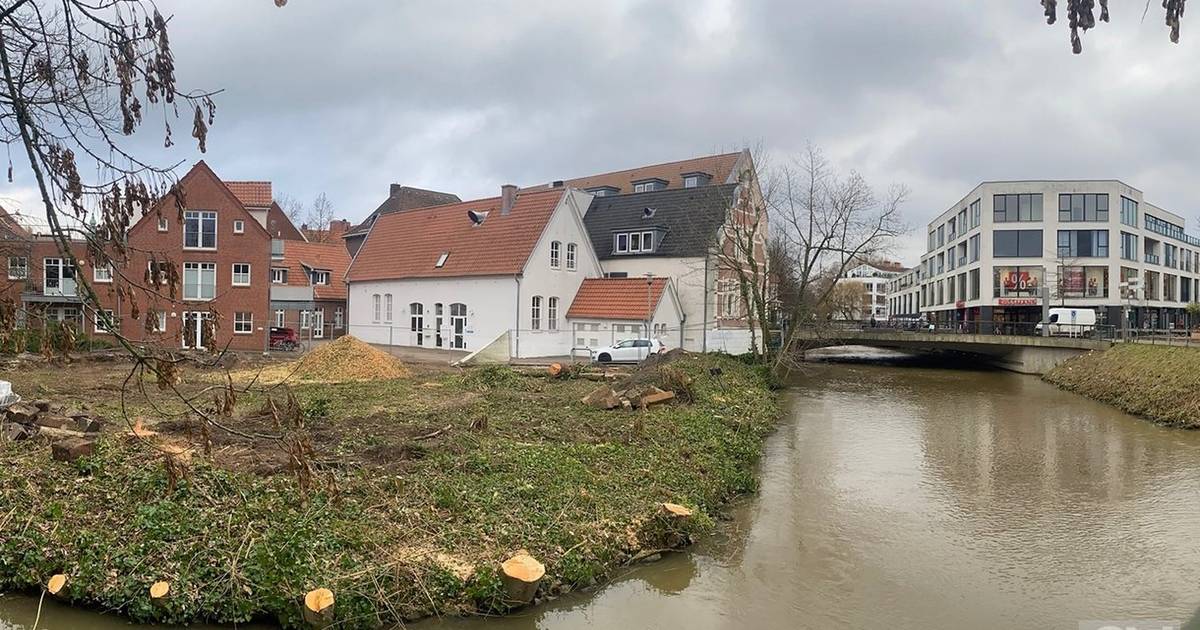 Nordhorn met stomheid geslagen na boomblunder: ongeoorloofde kaalslag bij bouwlocatie Kotthook ...