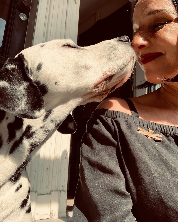 Vlissingen rouwt om dood van mascotte boekhandel ’t Spui | Foto | pzc.nl