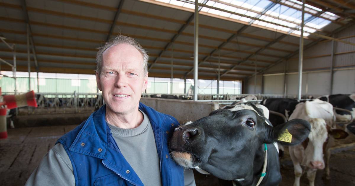 Boer Jaco woedend over plan om vergunning af te pakken: ‘Psychologische ...